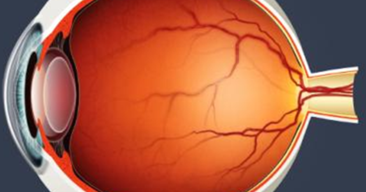 Blindness and low vision masterclass series: Eye Conditions • NextSense
