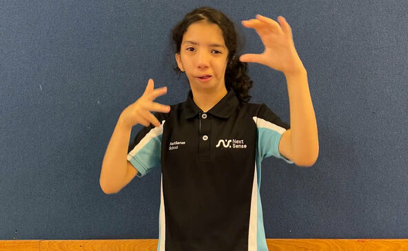 NextSense AGM and how we’re building what’s next • NextSense